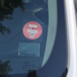 Private Transfer in Guadeloupe - The Value of a Personalized Transfer