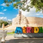 Private Transfer Merida to Playa del Carmen with Flexible Stops - The Experience at Each Stop