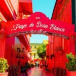 Private Transfer Puerto Plata to Cibao Airport - The Booking Experience and Cost