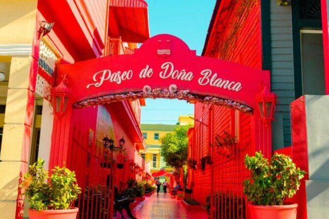 Private Transfer Puerto Plata to Cibao Airport - The Booking Experience and Cost