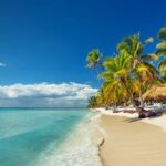 Private Transfer: Punta Cana Airport PUJ to Punta Cana or Bavaro in Van - Why This Transfer Makes Sense for Your Trip
