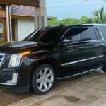 Private Transfer Punta Cana Airport to Bavaro (Redondo) - The Experience Through Customers’ Eyes