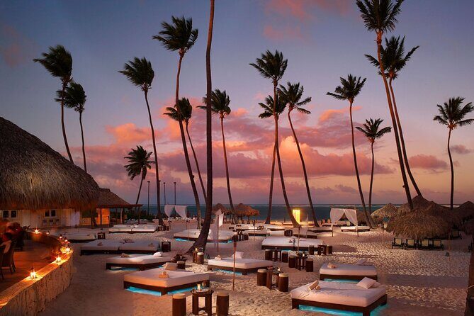 Private Transfer Punta Cana Airport to/from Paradisus Palma Real - Deep Dive into the Details