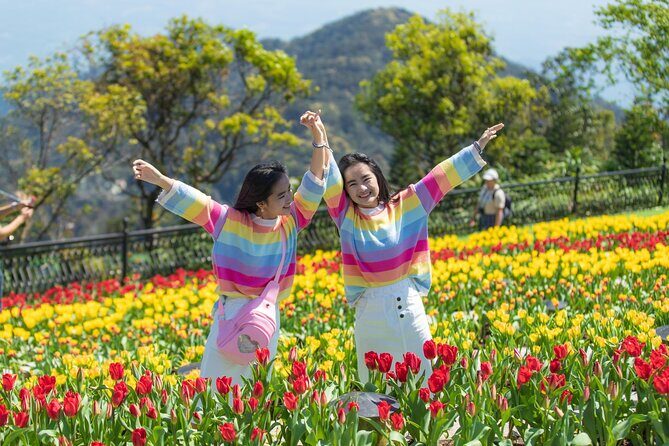 Private Transfer to Ba Na Hills - Exploring the Ba Na Hills Experience