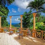 Private Transfer to Konoko Falls Botanical Gardens - An In-Depth Look at the Konoko Gardens Experience