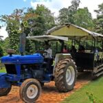 Private Transfer to Yaaman Adventure Park from Ocho Rios - Who Should Consider This Tour?