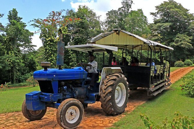 Private Transfer to Yaaman Adventure Park from Ocho Rios - Who Should Consider This Tour?
