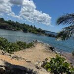 Private transfers from Punta Cana/Miches Airport - Cost-Effectiveness and Value