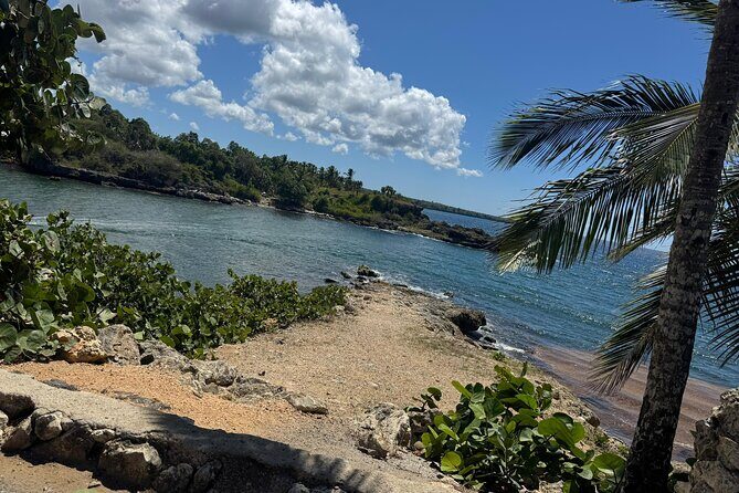 Private transfers from Punta Cana/Miches Airport - Cost-Effectiveness and Value