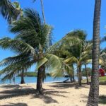 Private Transport from SanJuan to Rio Grande Luquillo Puerto Rico - Visualizing the Route and Stops