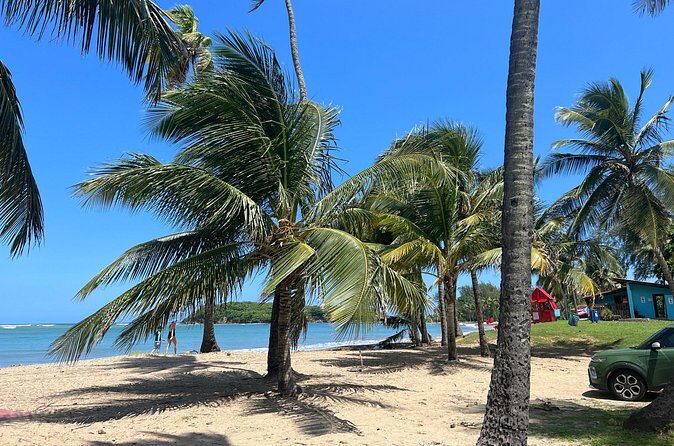 Private Transport from SanJuan to Rio Grande Luquillo Puerto Rico - Visualizing the Route and Stops