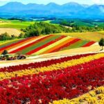 Private Transport in Hokkaido with English Speaking Driver - A Closer Look at the Itinerary and Vehicle Options