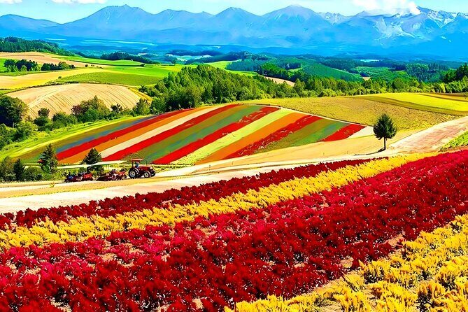 Private Transport in Hokkaido with English Speaking Driver - A Closer Look at the Itinerary and Vehicle Options