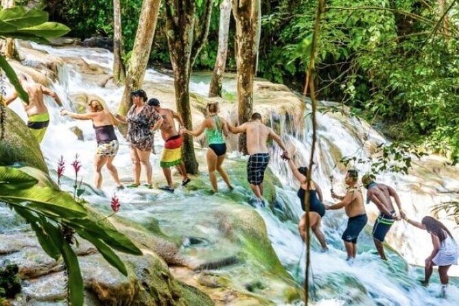 Private Transportation to Blue Hole & Dunns River Falls-w Drinks! - What’s Included and What’s Not