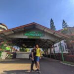 Private Trip Malang/Surabaya : Tour Tea Plantation Wonosari - A Detailed Look at the Wonosari Tea Garden Tour