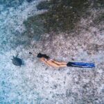 Private Turtle Spotting Snorkeling Excursion in Aruba - What makes this snorkeling tour special?