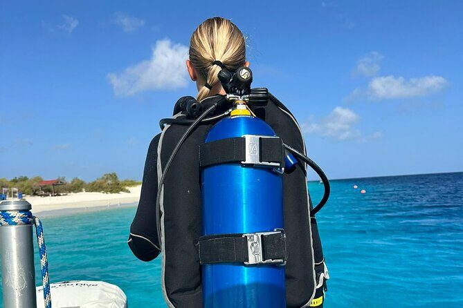 Private Two Tank Boat Dive in Bonaire 2 persons - Final Thoughts: Who Is This Tour Best For?
