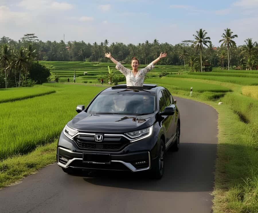 Private Ubud Highlights Midday Tour with Flexible Pickup - Practical aspects: comfort, timing, and value