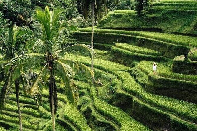 Private Ubud Tour - What’s Included and What’s Not?