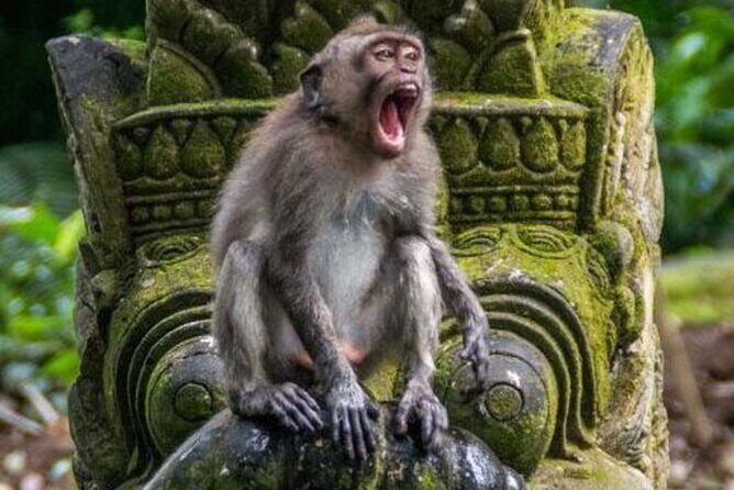 Private Ubud Tour and Quad Bike - Why This Tour Works for Different Types of Travelers