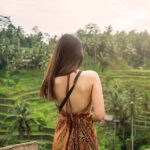 Private Ubud Tour with Monkey Forest and Waterfall - In-Depth Look at the Itinerary