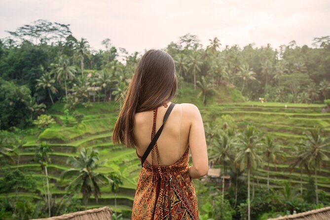 Private Ubud Tour with Monkey Forest and Waterfall - In-Depth Look at the Itinerary