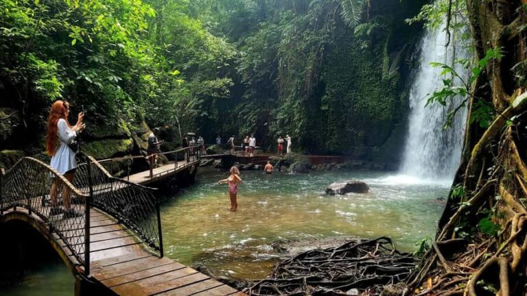 Private Ubud Waterfall Experience with Local Driver-Guide - What to Expect During Your Day