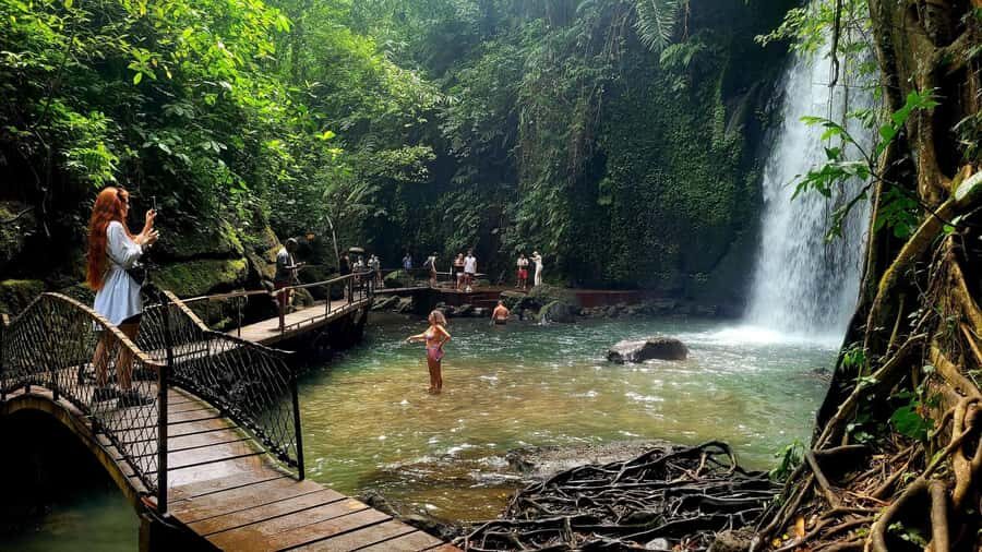 Private Ubud Waterfall Experience with Local Driver-Guide - What to Expect During Your Day