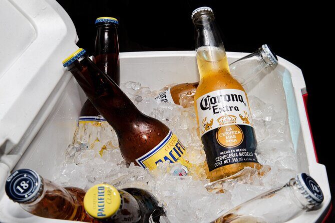 Private VAN Round-Trip from Airport to Hotels in Puerto Los Cabos - Flexibility and Additional Options