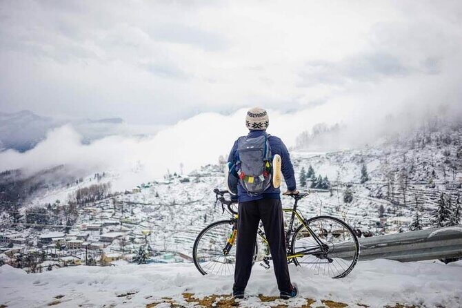 Private Vancouver to Squamish With Sea to Sky Gondola DayTrip - Who Will Love This Tour?