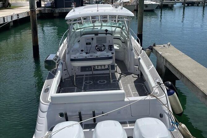 Private VIP party on a yacht with drinks and snacks in Punta Cana - Who Should Consider This Tour?