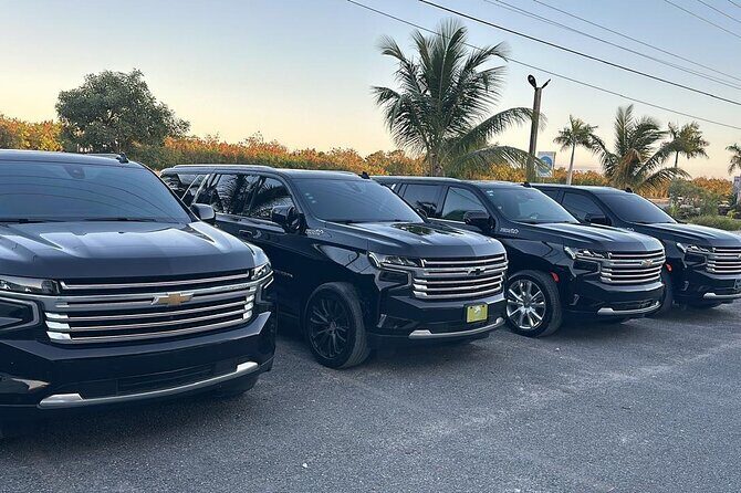 Private VIP Suburban Transfers from Punta Cana Airport to Hotels - What to Expect from Your VIP Transfer Experience