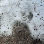 Private VIP Tour of Grand Teton National Park - Who Is This Tour Best For?