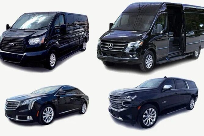 Private & VIP transfer Puntacana AIRPORT/hotels-luxury services - Key Points