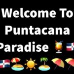 Private & VIP Transfers Puntacana airport/ hotels-luxury services - What to Expect During Your Transfer