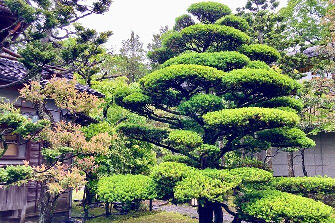 Private walking Tour: A Kanazawa Garden Exploration - Who Will Enjoy This Tour?
