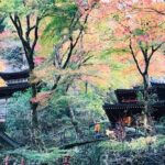 Private Walking Tour in Bamboo Forest & Hidden Spots in Arashiyama - What This Tour Means for You