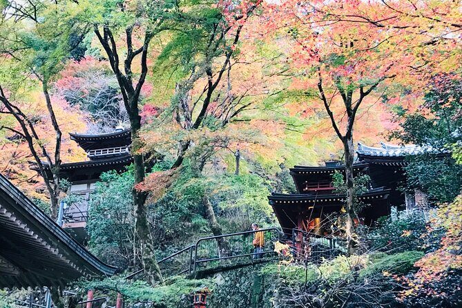 Private Walking Tour in Bamboo Forest & Hidden Spots in Arashiyama - What This Tour Means for You
