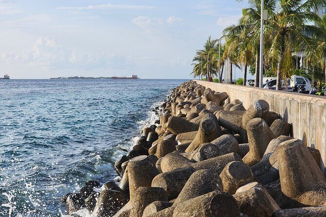 Private Walking Tour of Malé - Practical Details: Transportation, Duration, and Value