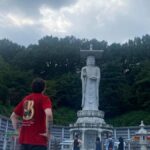 Private walking tour of Seoul: Past and present - Practical Considerations