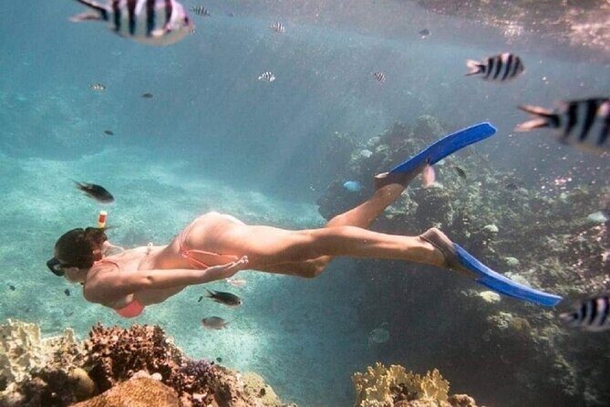 Private Waterfall Tour and Blue Lagoon Snorkeling in Padang Bai - Practical Details for Planning Your Day