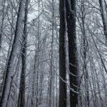 Private Westboro Equine Experience - What Travelers Can Expect