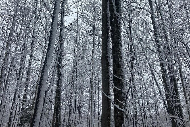 Private Westboro Equine Experience - What Travelers Can Expect