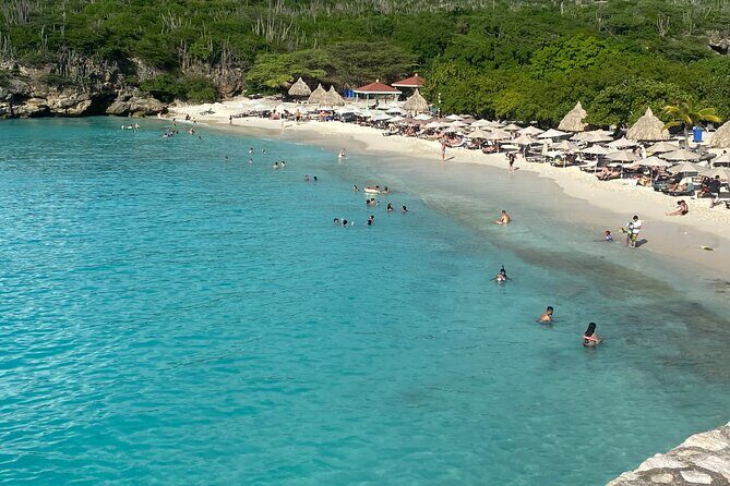 Private Westcoast Beachhop Tour. Turtle beach, grote knip & More - What Makes This Tour Special?