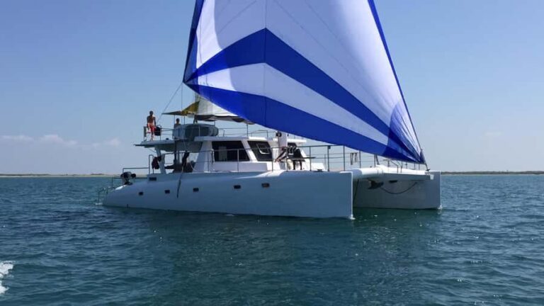 Private Whale Watching Cruise - Mirissa - Who Should Consider This Tour?