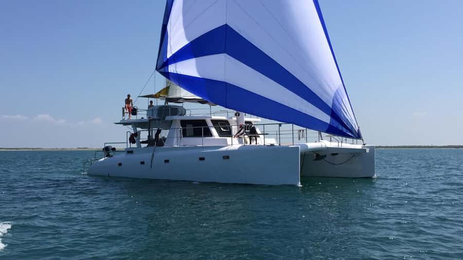 Private Whale Watching Cruise - Mirissa - Who Should Consider This Tour?