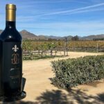 Private Wine and Food Tour in Valle de Guadalupe - Who Should Consider This Tour?