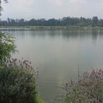 Private Xochimilco Boat Ride, Food & Mariachi from Mexico City - Who Will Love This Tour?