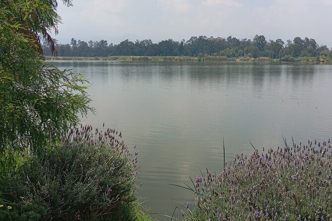 Private Xochimilco Boat Ride, Food & Mariachi from Mexico City - Who Will Love This Tour?