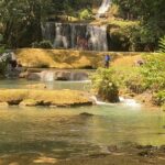 Private YS Falls and Zipline Tour from Montego Bay - Practical Tips for Travelers